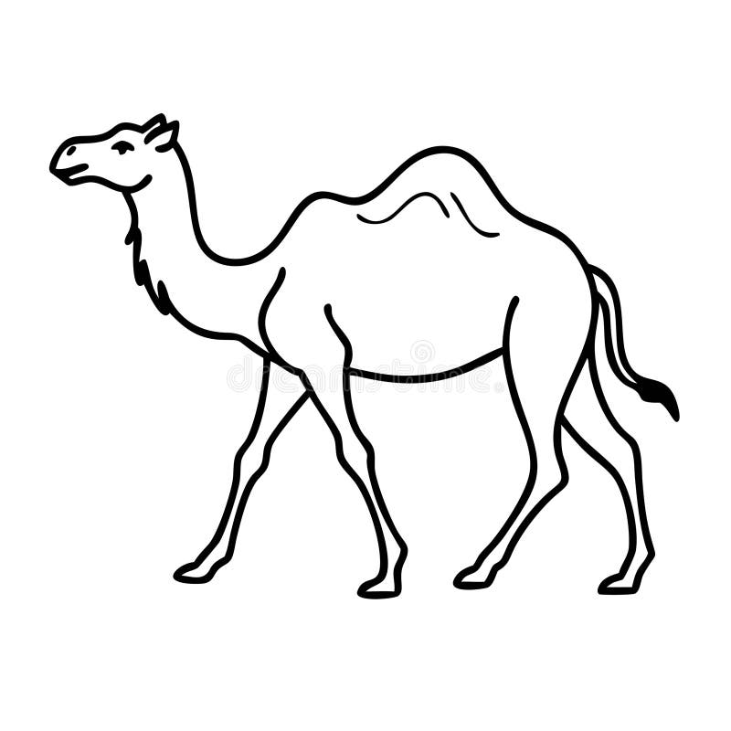 Walking Camel Outline Vector Illustration Desert Animal Theme Stock ...