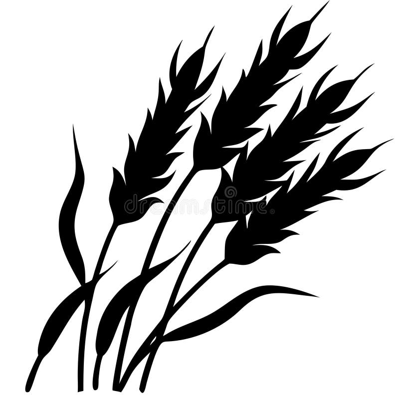 Wheat Sheaf Silhouette Vector for Design Elements and Print ...
