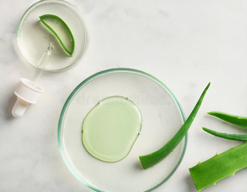 Exploring the Healing Properties of Aloe Vera Extract through ...