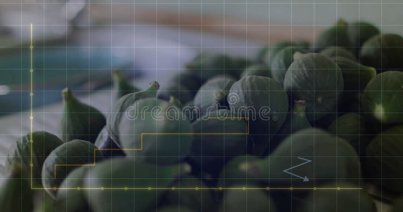 Image of Financial Data Processing Over Vegetables Stock Image - Image ...
