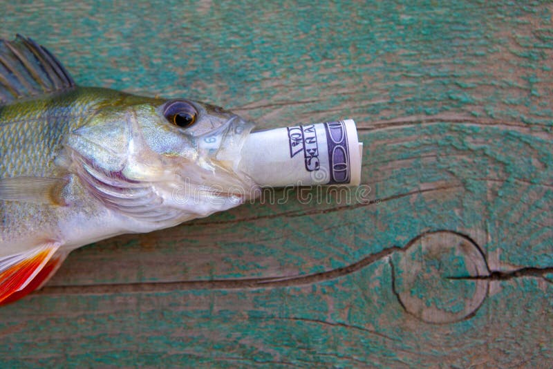 Image of Fish Money Banknote Stock Photo - Image of cash, fisherman ...