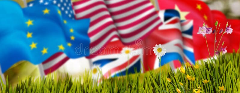 Image of Flags and Flowers Close-up Stock Image - Image of ...