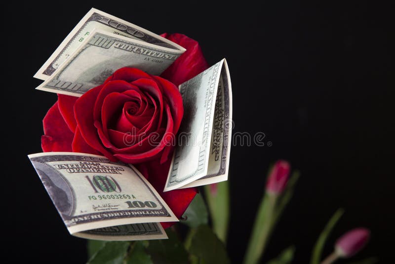 Money Rose Flower Table Background Stock Photo - Image of banknote ...