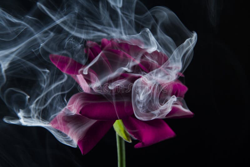 Image of Flower Smoke Dark Background Stock Photo - Image of eight ...