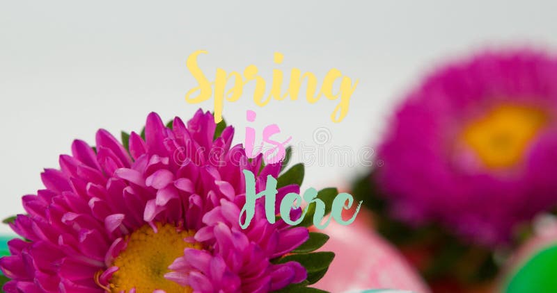 Image of Flowers at Easter and Spring is Here Text Stock Image - Image ...