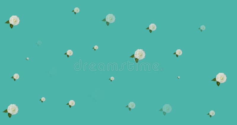 Image of Flowers Moving in Hypnotic Motion on Blue Background Stock ...