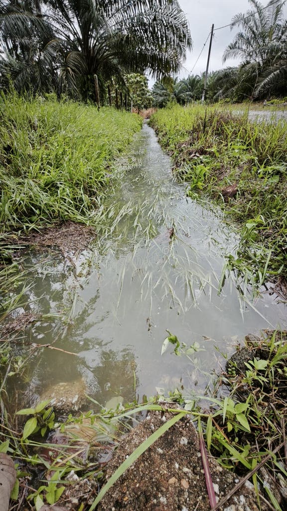 Flowing Side Drain Water Along the Pathway after the Heavy Rain. Stock ...