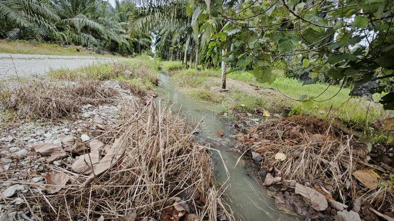 Flowing Side Drain Water Along the Pathway after the Heavy Rain. Stock ...