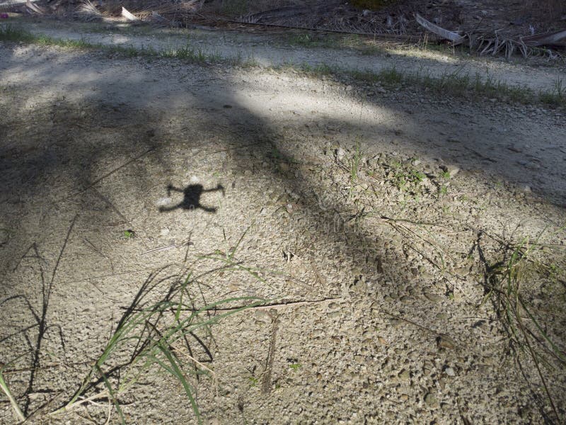 Flying Drone Cast it S Shadow on the Dirt Pathway. Stock Image - Image ...