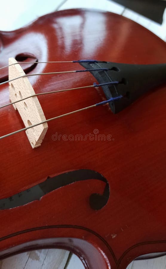 The Stand and Strings of the Violin are an Exquisite Musical Instrument ...