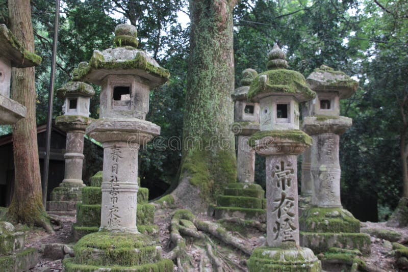 The forest and temple stock illustration. Illustration of particolar ...