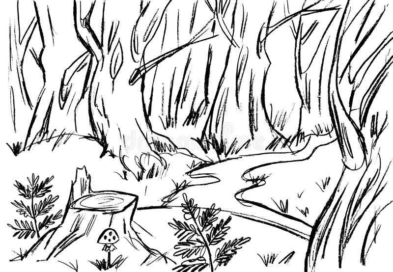 The Image of a Forest with a Black Outline on a White Background Stock ...