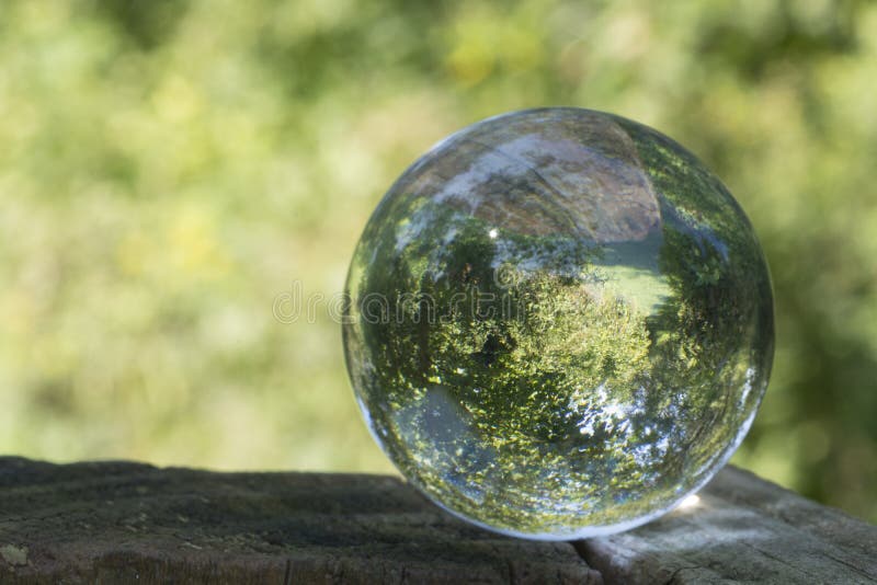 The forest in glass stock image. Image of detail, glass - 126665439