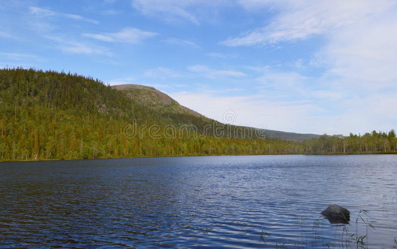 Forest lake in August stock photo. Image of peninsula - 156215044