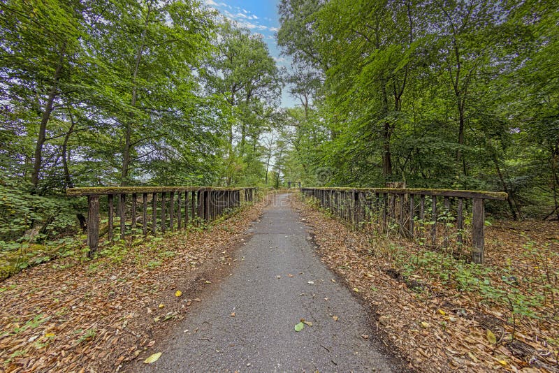 Image of Forest Path and Bridge with Wooden Railing Stock Image - Image ...