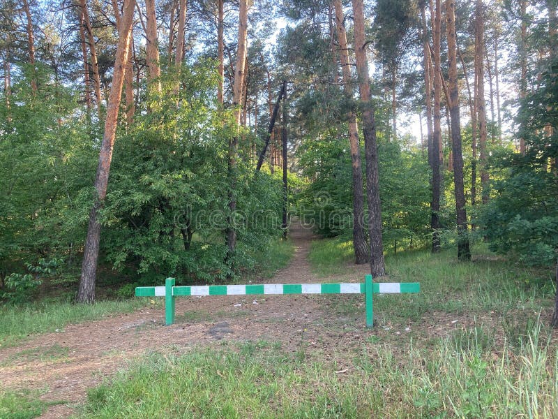 Image of a Forest Pathway with Safety Barrier, Possibly Spring or ...