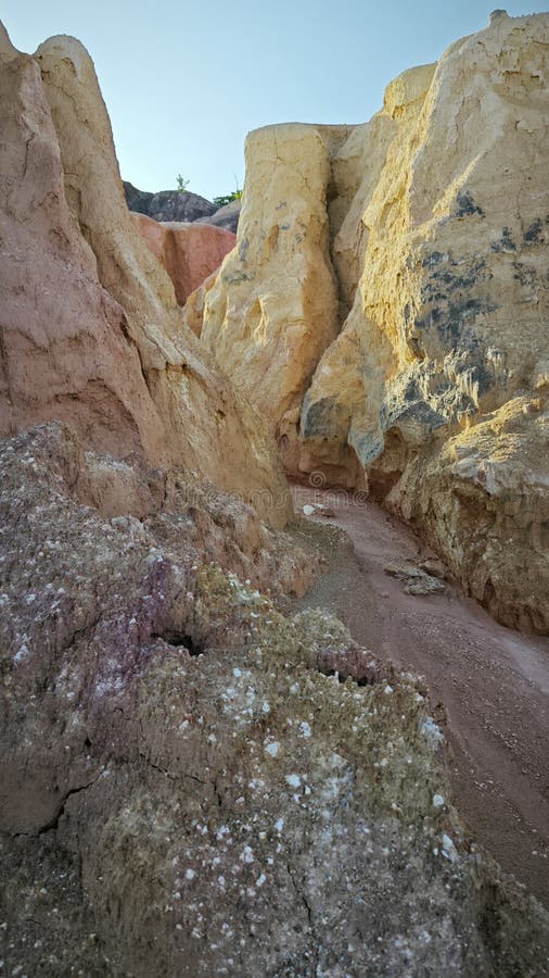 Formation Scene Around the Soil Texture and Pattern of the Limestone ...
