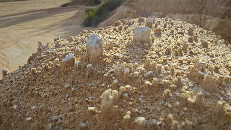 Formation Scene Around the Soil Texture and Pattern of the Limestone ...