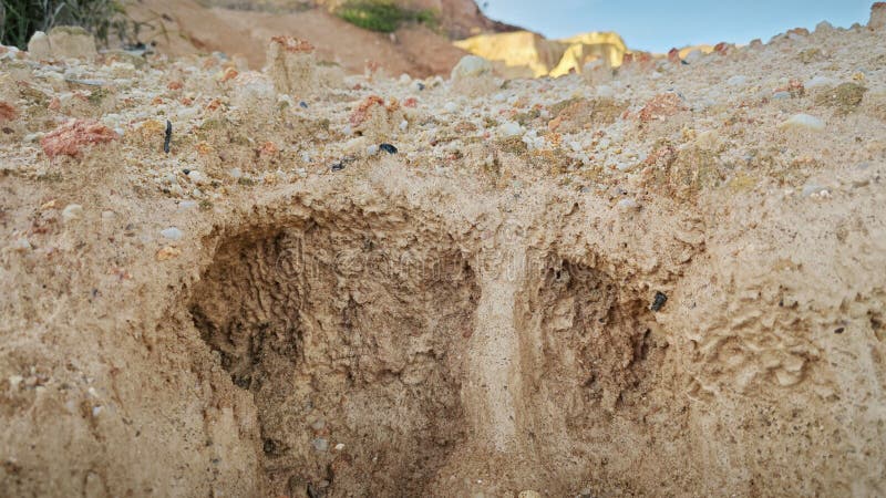 Formation Scene Around the Soil Texture and Pattern of the Limestone ...