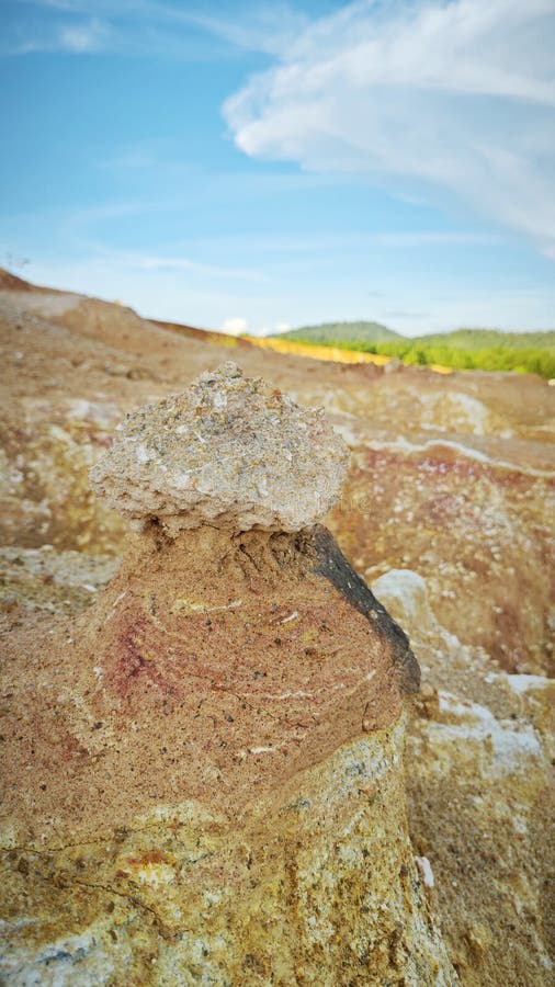 Formation Scene Around the Soil Texture and Pattern of the Limestone ...