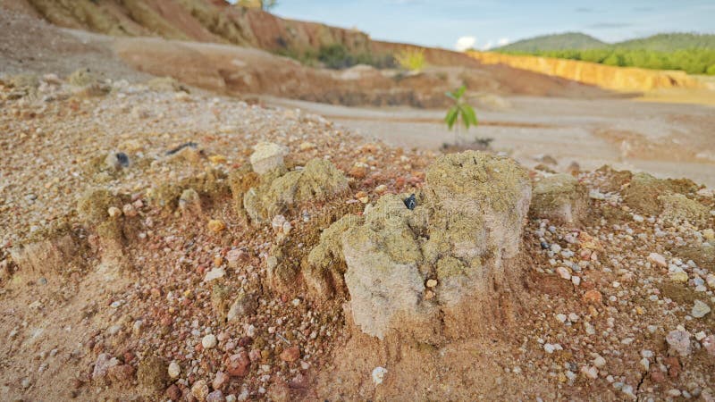 Formation Scene Around the Soil Texture and Pattern of the Limestone ...