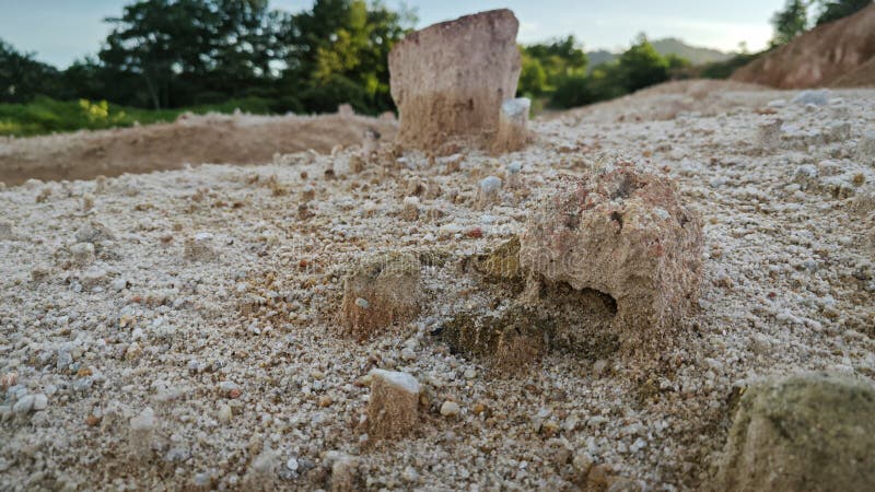 Formation Scene Around the Soil Texture and Pattern of the Limestone ...