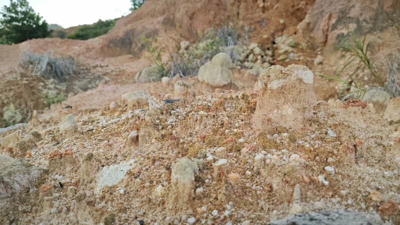 Formation Scene Around the Soil Texture and Pattern of the Limestone ...