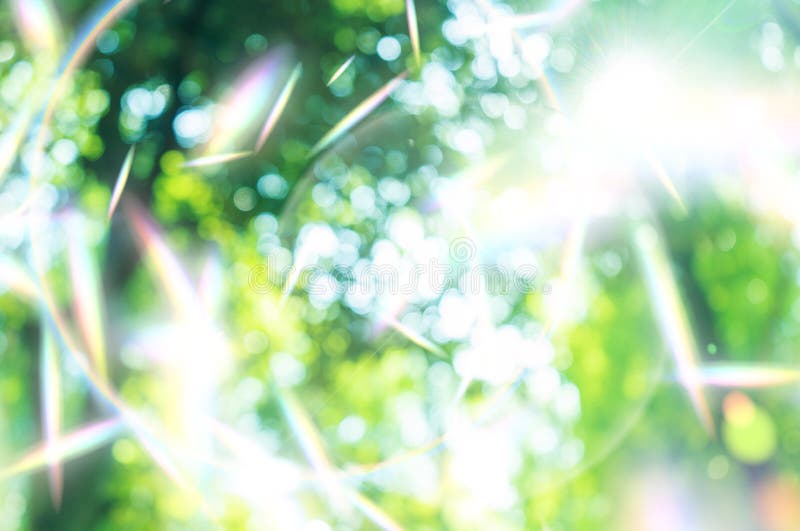 Image that Fresh Green and Light are Disturbed Stock Photo - Image of ...