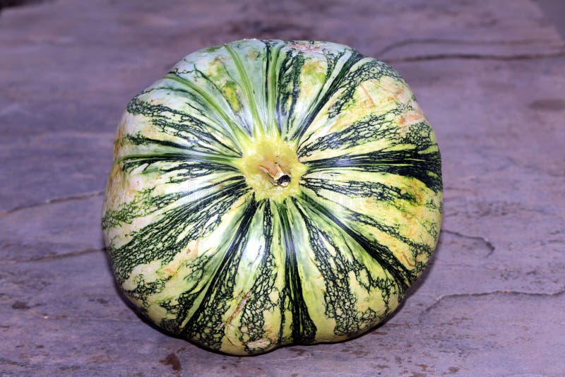 Fresh Vegetable Green and White Pumpkin Stock Photo - Image of ...