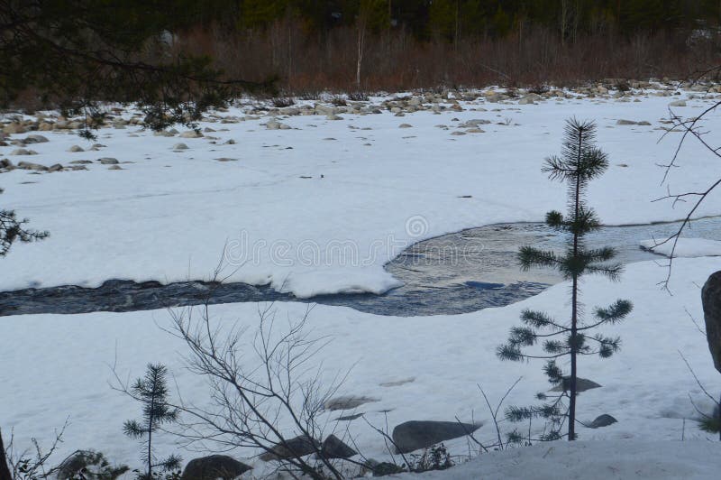 Frozen Niva river in April stock image. Image of snow - 215737007