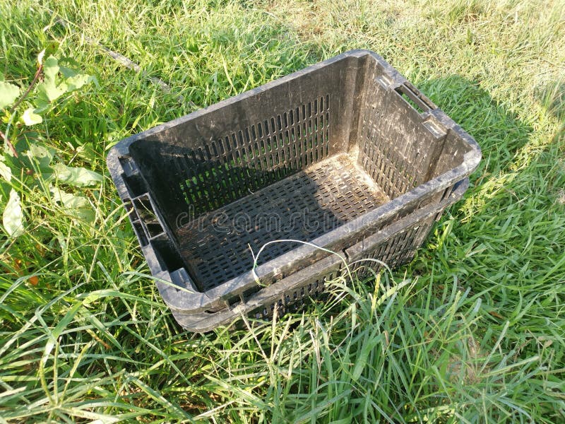 Fruit and Vegetable HDPE Plastic Crate at the Farm Stock Photo - Image ...