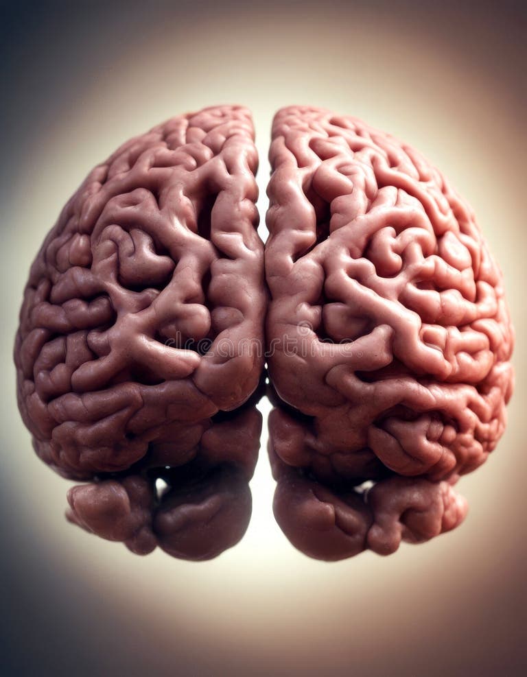 Second Brain Stock Illustrations – 343 Second Brain Stock Illustrations ...