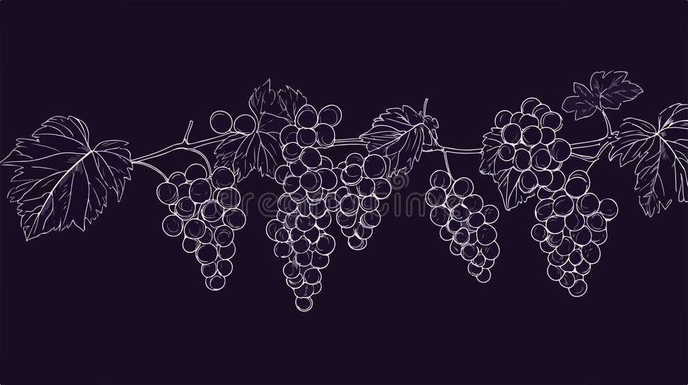 Elegant Continuous Single Line Art of Grapes on a Vine for Creative ...