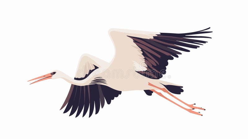 Majestic White Stork Vector Illustration Isolated on White Background ...