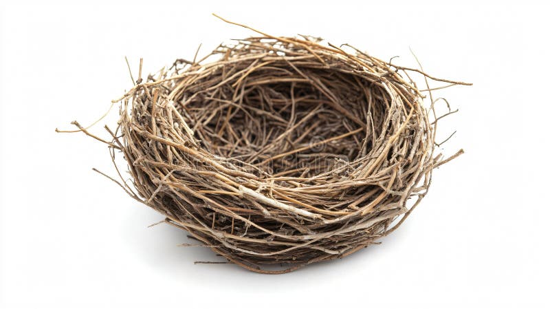 Professional Birds Nest Isolated on White Background for Creative ...