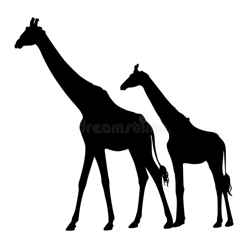 Giraffe EPS Vector File Digital Download Stock Vector - Illustration of ...