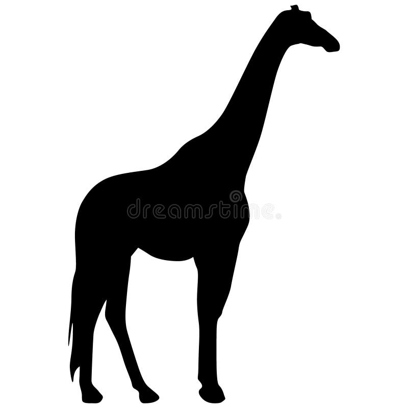 Giraffe EPS Vector File Digital Download Stock Illustration ...