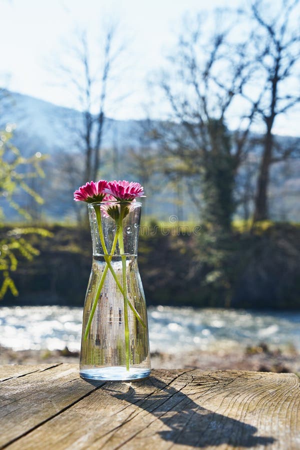 Glass Flask with a Chemical Reagent Stock Image - Image of glass ...