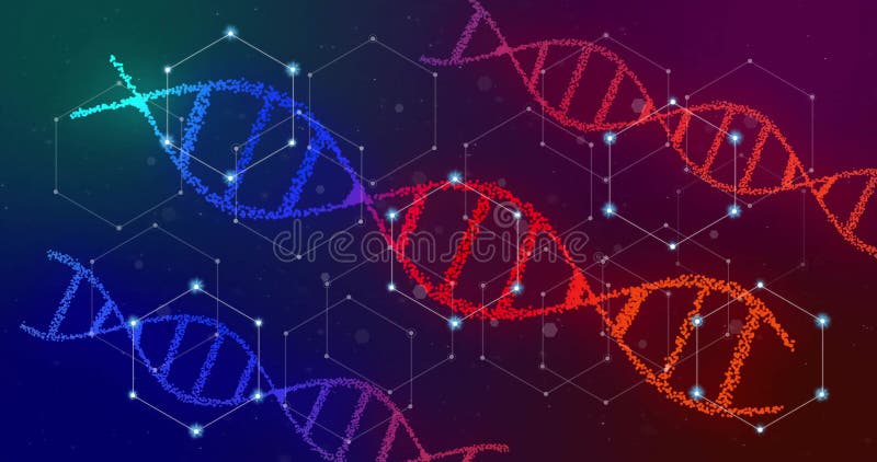 Image of Glowing White Networks Over Red and Blue Dna Strands on Dark ...