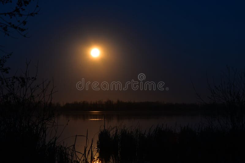Moon Light Reflection stock photo. Image of orange, tree - 135437476