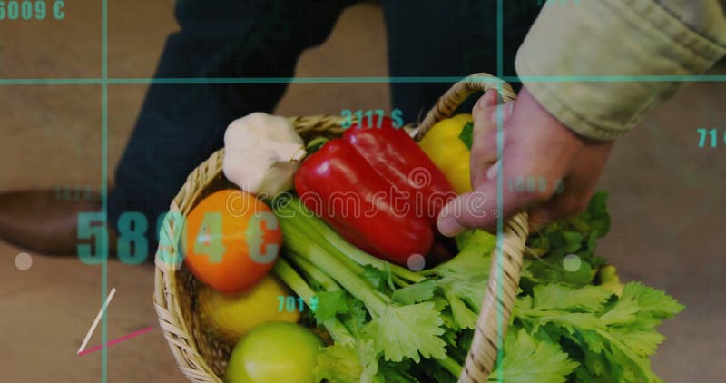 Image of Graph Processing Data Over Caucasian Man Carrying Vegetables ...