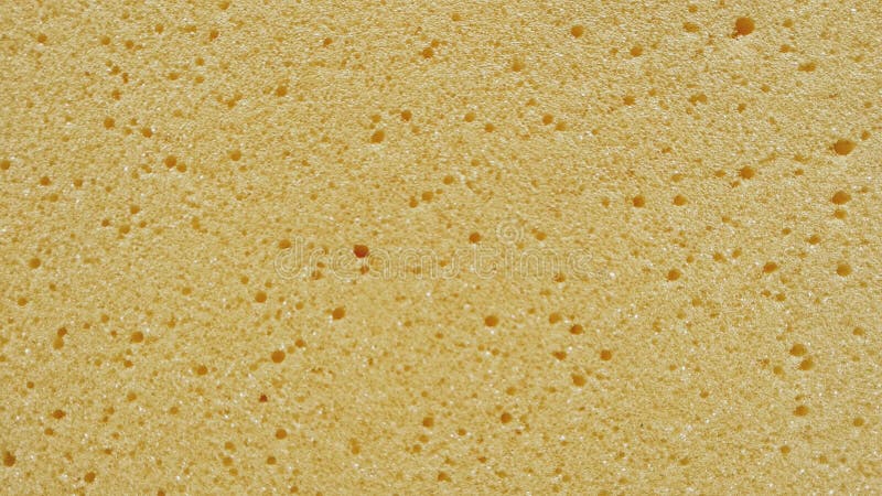 Sponge Water Absorber Stock Photos - Free & Royalty-Free Stock Photos ...