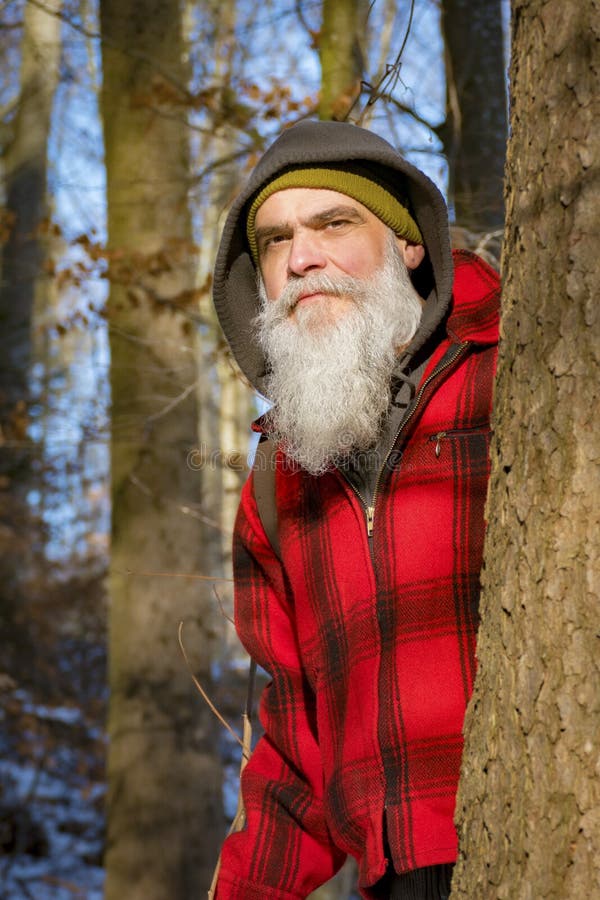 A Gray Bearded Lumberjack in the Woods Stock Image - Image of nature ...