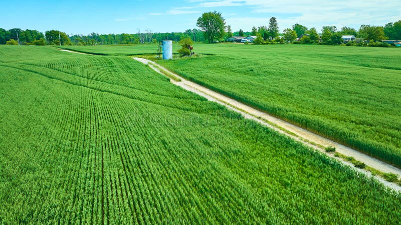 Path Cutting through Lush Green Forest Stock Image - Image of hiking ...