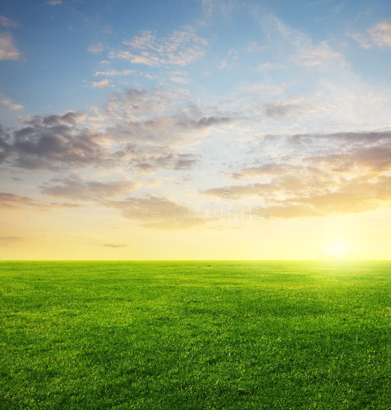 Green Grass Field and Bright Blue Sky Stock Photo - Image of idyllic ...