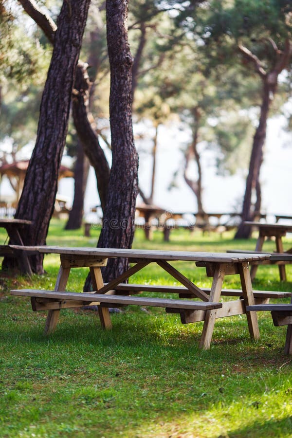 Image of Green Park with Trees, Wooden Benches, Table . Stock Image ...