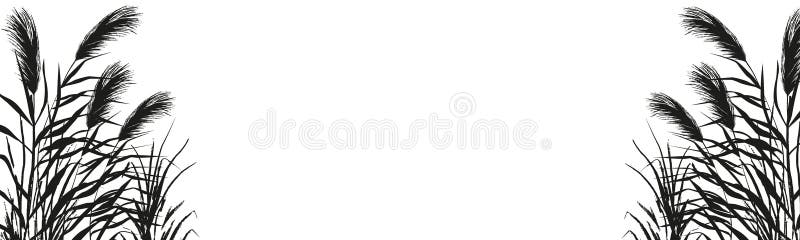 Image of a Green Reed or Bulrush on a White Background.Isolated Vector ...