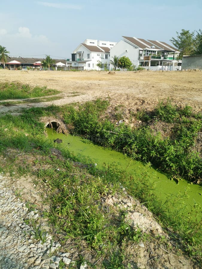 Greenish Algae Sludge Floating on the Surface of the Rural Drain. Stock ...
