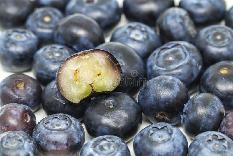 1,046 Blueberry Half Cut Stock Photos - Free & Royalty-Free Stock ...