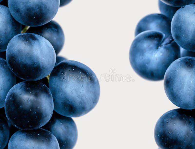 Grape Clusters - Seamless and Tileable Stock Photo - Image of bunch ...
